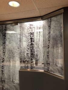 Photo_birch - CreativeFx Custom Window Films
